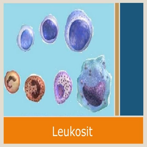 leukosit.pptx