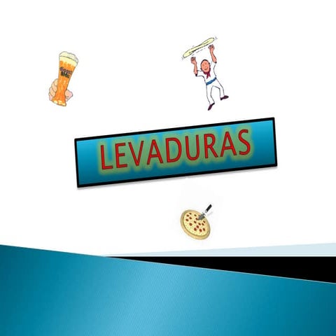 Biotecnología de las Levaduras: Características, Clasificación y Usos ...