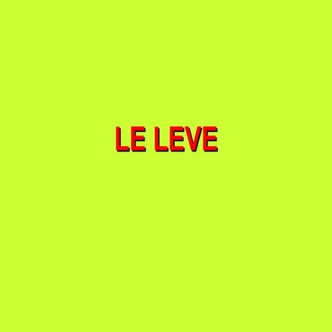 Leve | PPT