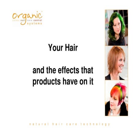Professional Salon Hair Color Education - Level 1 | PDF