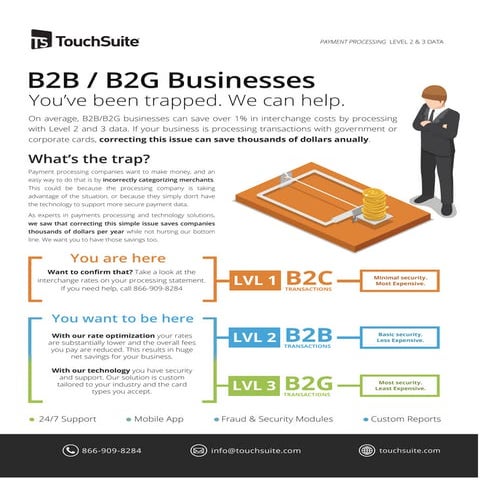 Level 2 and Level 3 Credit Card Processing with TouchSuite | PDF