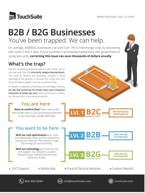 Level 2 & Level 3 Interchange Rates How They Work and Why They Matter ...