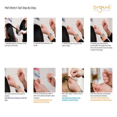 Professional Salon Hair Color Education - Level 3 | PDF