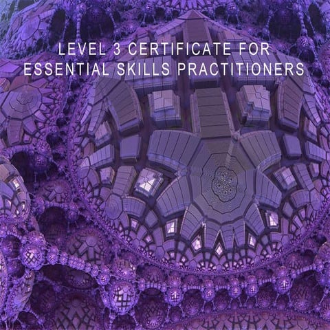Level 3 certificate for essential skills practitioners | PPT