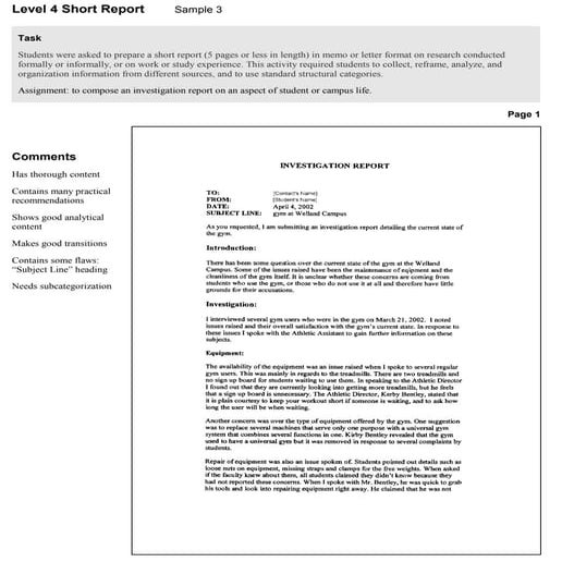 Level4 Short Report | PDF