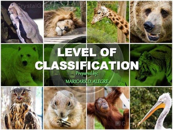 Class 11th - Biological classification | PPT