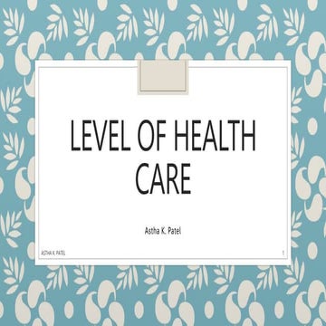 Levels of health care ppt | PPTX