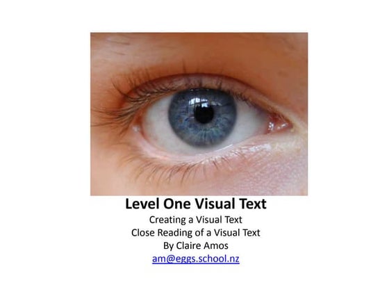 Visual texts intro[1] | PPT