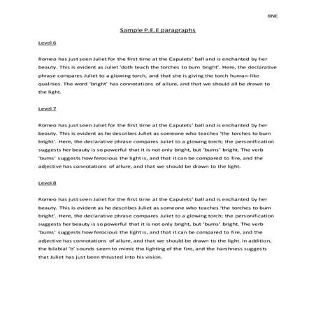 PEE Level paragraphs | DOCX
