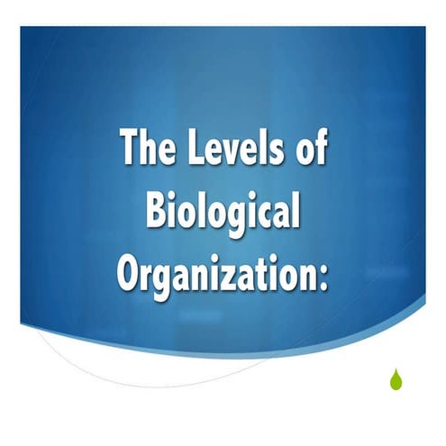 Levels Of Bio Organization | PPT
