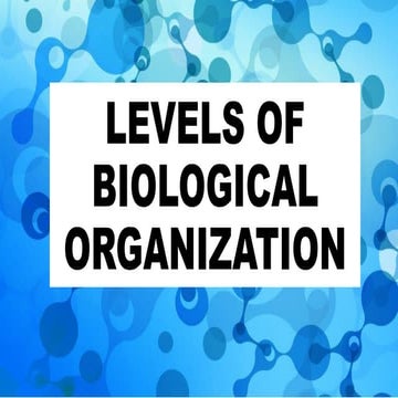 LEVELS-OF-BIOLOGICAL-ORGANIZATION.pdf presentation | PDF