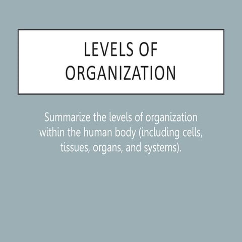 Levels Of Organization | PPT