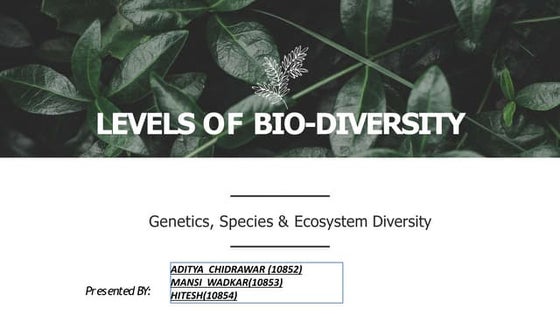PPT OF BIODIVERSITY | PPT | Geography | Science