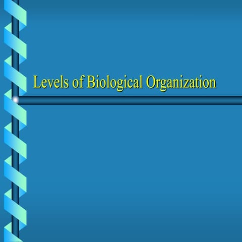 PPt on Levels of Biological Organization | PPT