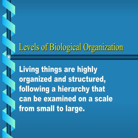 Levels of biological organization | PPT