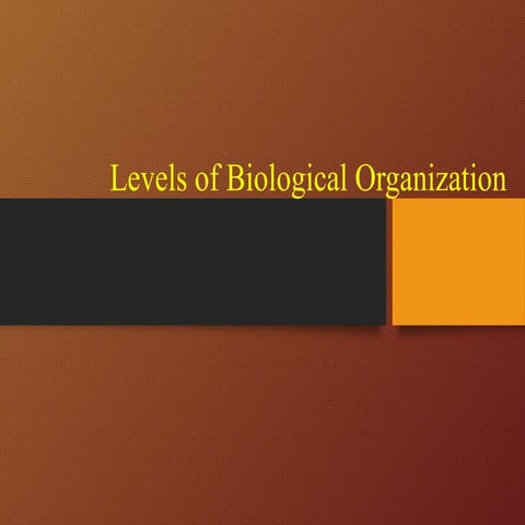 acceleration topics for grade 8 science.pptx