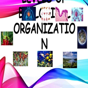 Levels of biological organization Demo.pptx
