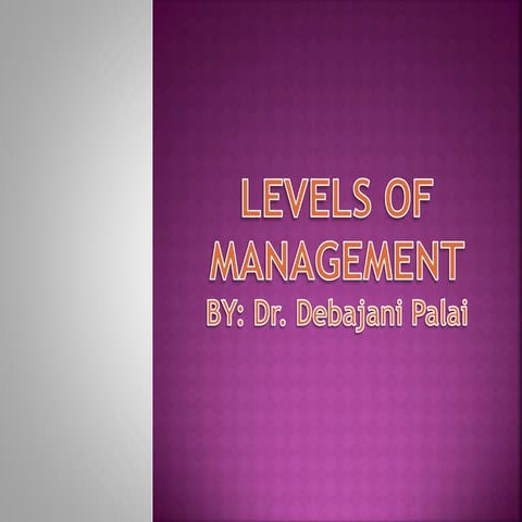 Levels of Management and Their Functions | PPTX