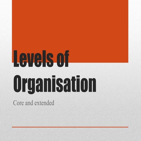 Levels of organisation | PPT