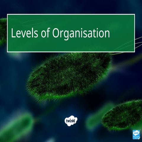 Levels of Organisation Biology PowerPoint.ppt