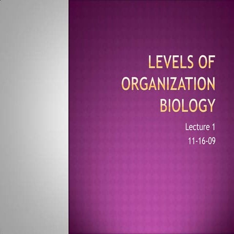 Levels Of Organization | PPTX