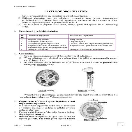 Levels of organization | PDF