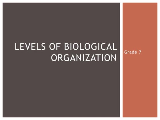 Life science ecosystem. grade 10 | PPT