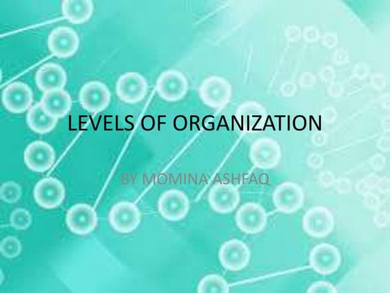 Levels of organization | PPT