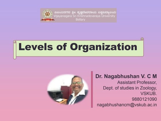 Levels of biological organization | PPT