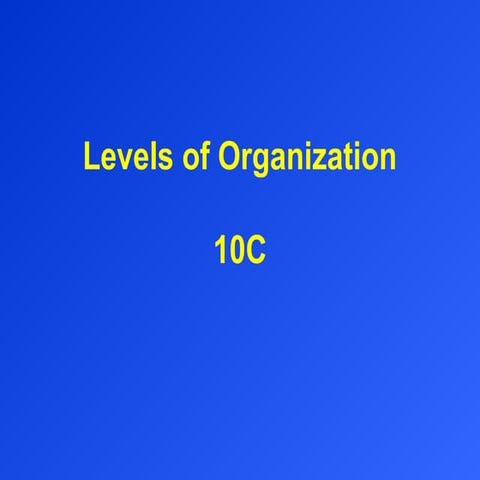 Levels of Organization Grade 7 Science .ppt