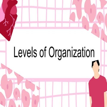 Levels of Organization Biology Presentation.pptx