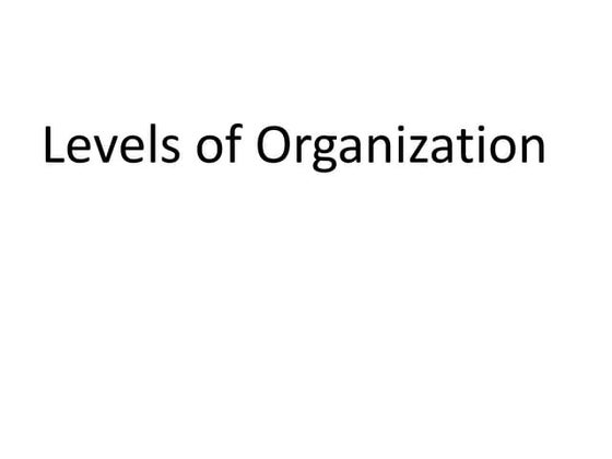 Levels of biological organization | PPT | Biological Sciences | Science