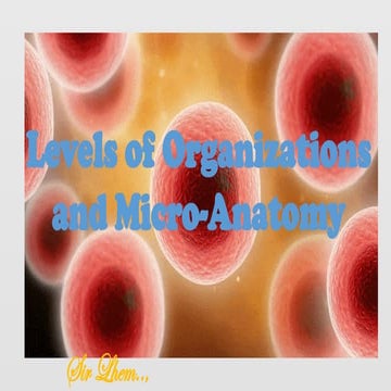 Anatomy and Physiology :levels of organizations | PPTX
