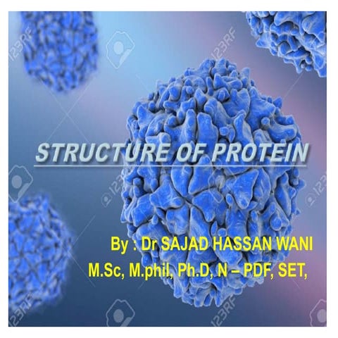 Levels of protein structure | PPT