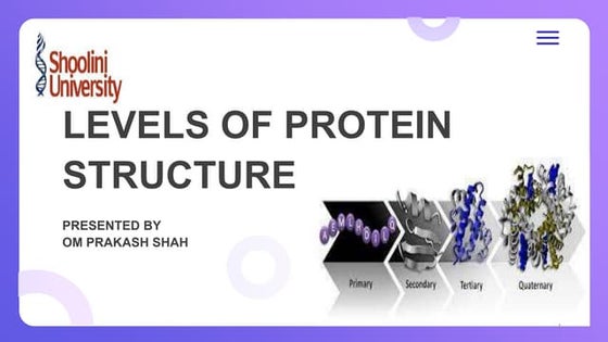 Tertiary Structure Of Proteins Ppt