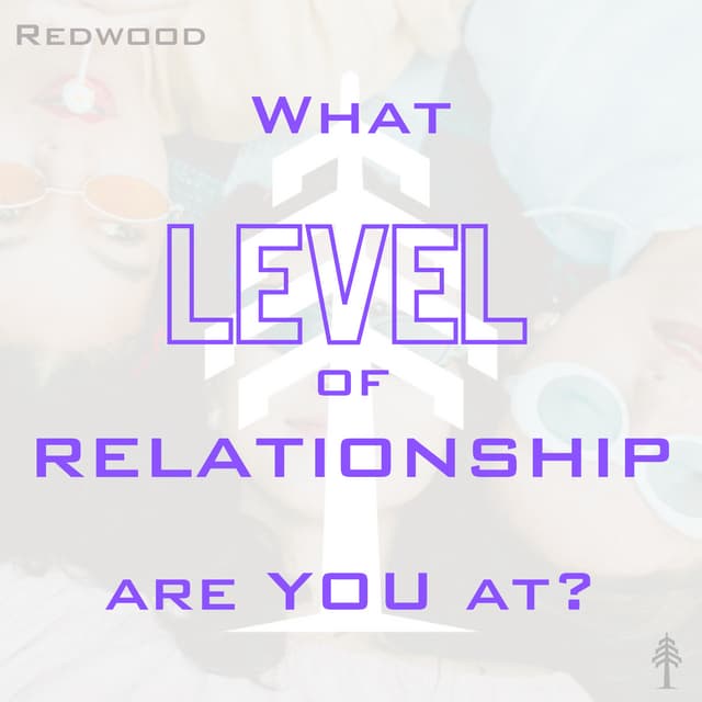 What Level of Relationship Are You At? | PDF