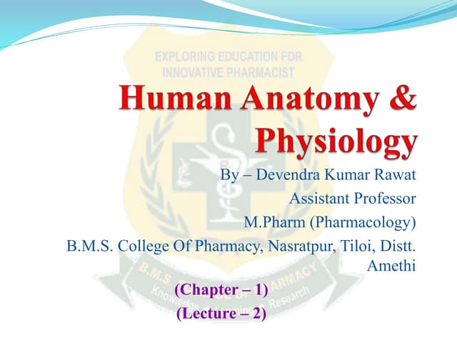 Introduction to HUMAN ANATOMY AND PHYSIOLOGY | PPTX