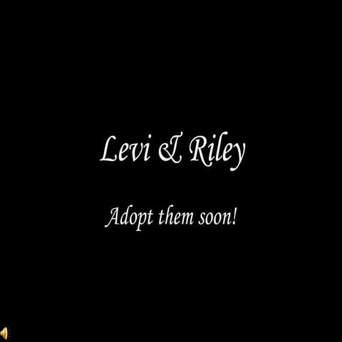 Email thread rachel and tammy re pudge | PDF