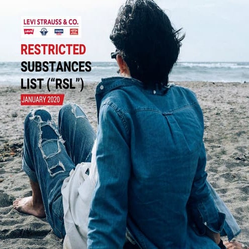 Levis-Strauss-Final-Booklet_Small.pdf