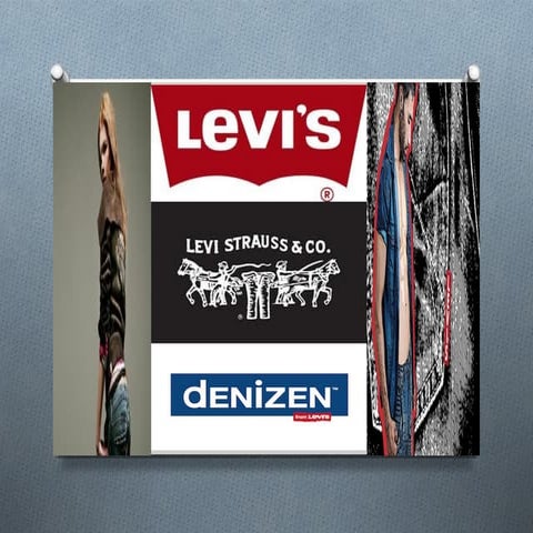 Levis starrus presentation | PPT