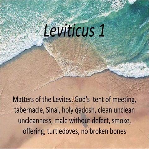 An Overview of Leviticus | PPTX
