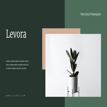 Levora Presentation : Dark Color Version | PDF
