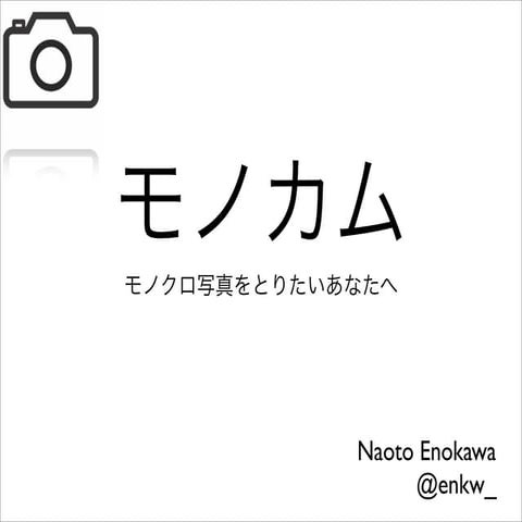 Monocam | PDF