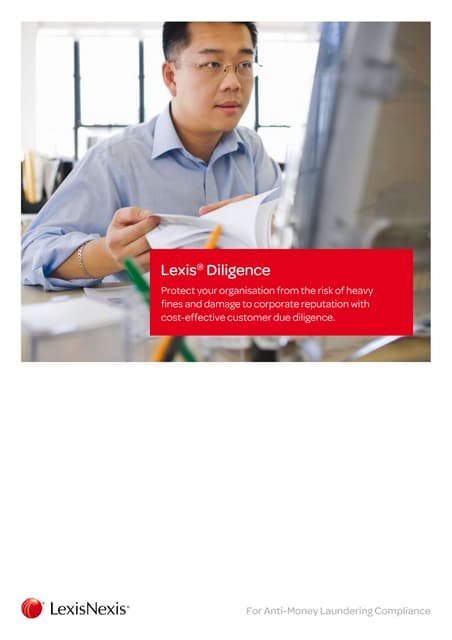 Bridger Insight brochure | PDF