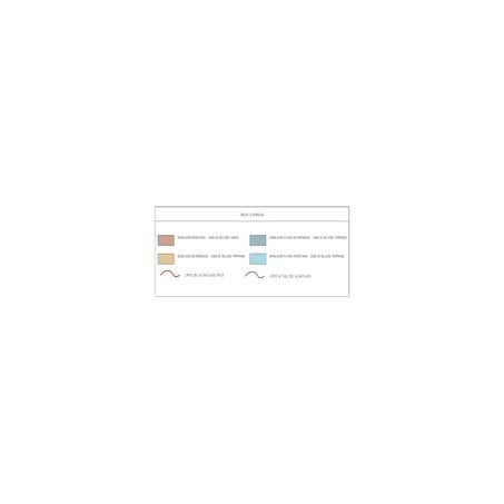 Jose Mamani presentations