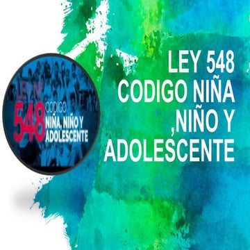ley 548.pptx