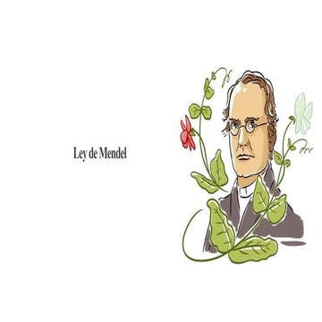 leyes de Mendel, cada una y ejemplos con figuras | PPTX