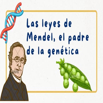 Leyes de mendel | DOCX