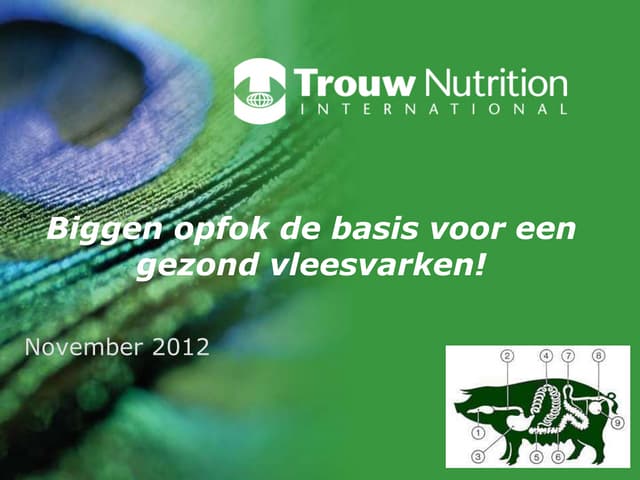 Lezing Rob van Schie, productmanager bij Trouw Nutrition | PPT Lezing Rob van Schie, productmanager bij Trouw Nutrition | PPT