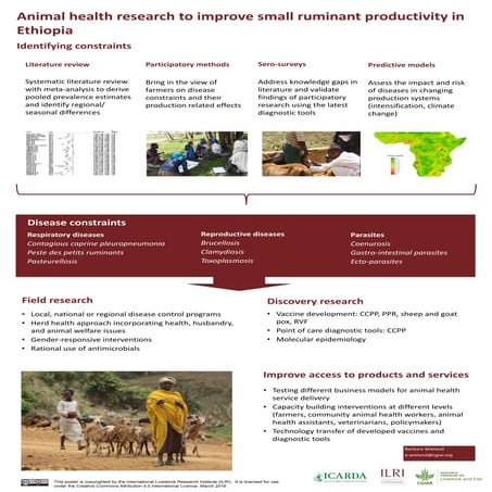 Animal health research to improve small ruminant productivity in ...